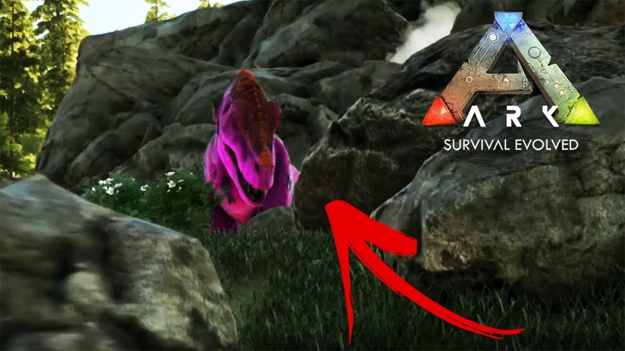 ¡T-REX vs BRONTOSAURUS! || ARK Survival Evolved - YouTube