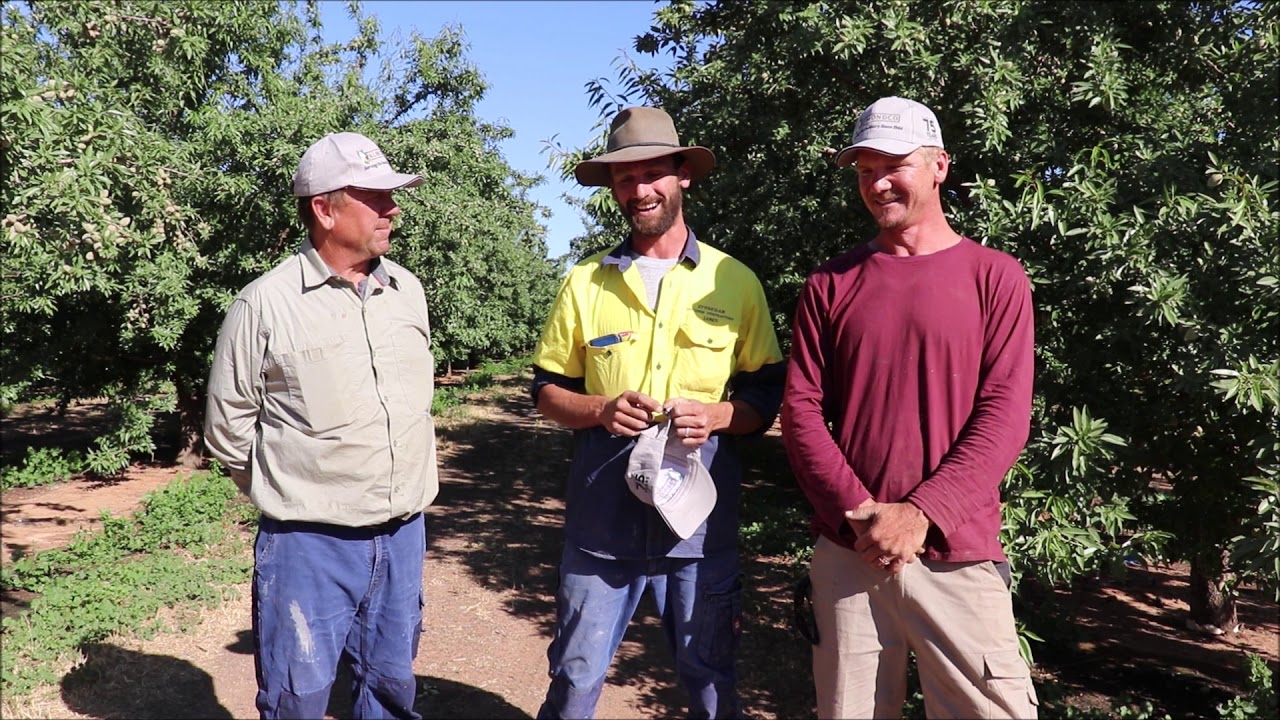 Almondco Quality Award, Zunic Family, Begara Almonds - Renmark North ...