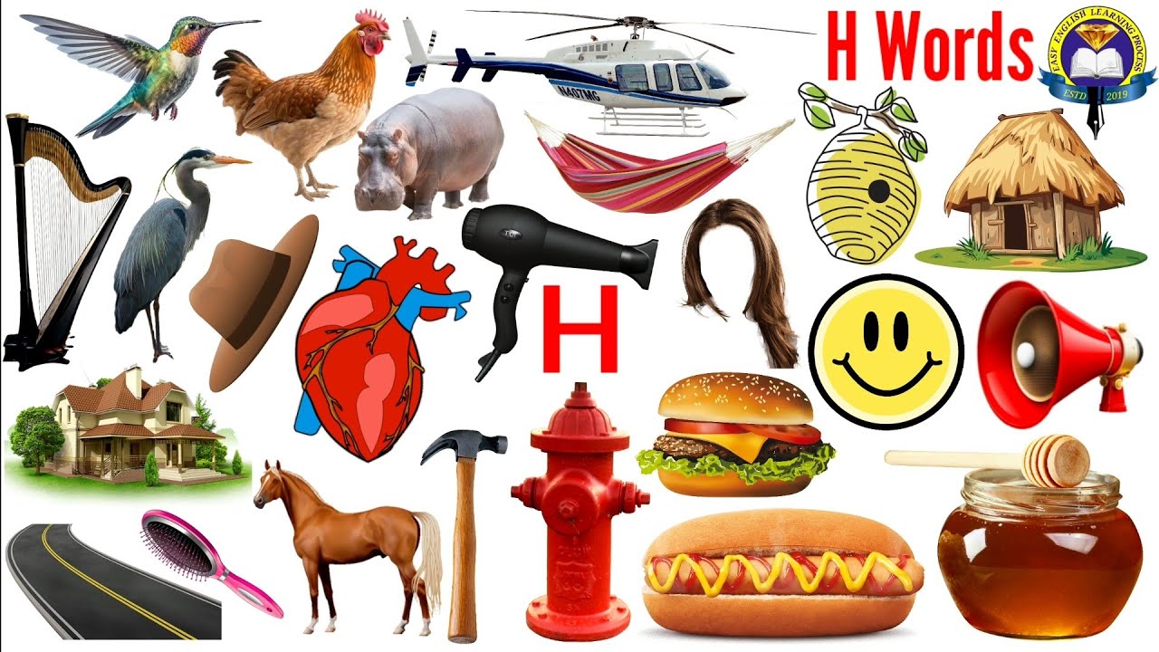H Words | Vocabulary Words With H | English Vocabular | Honey | Hut ...