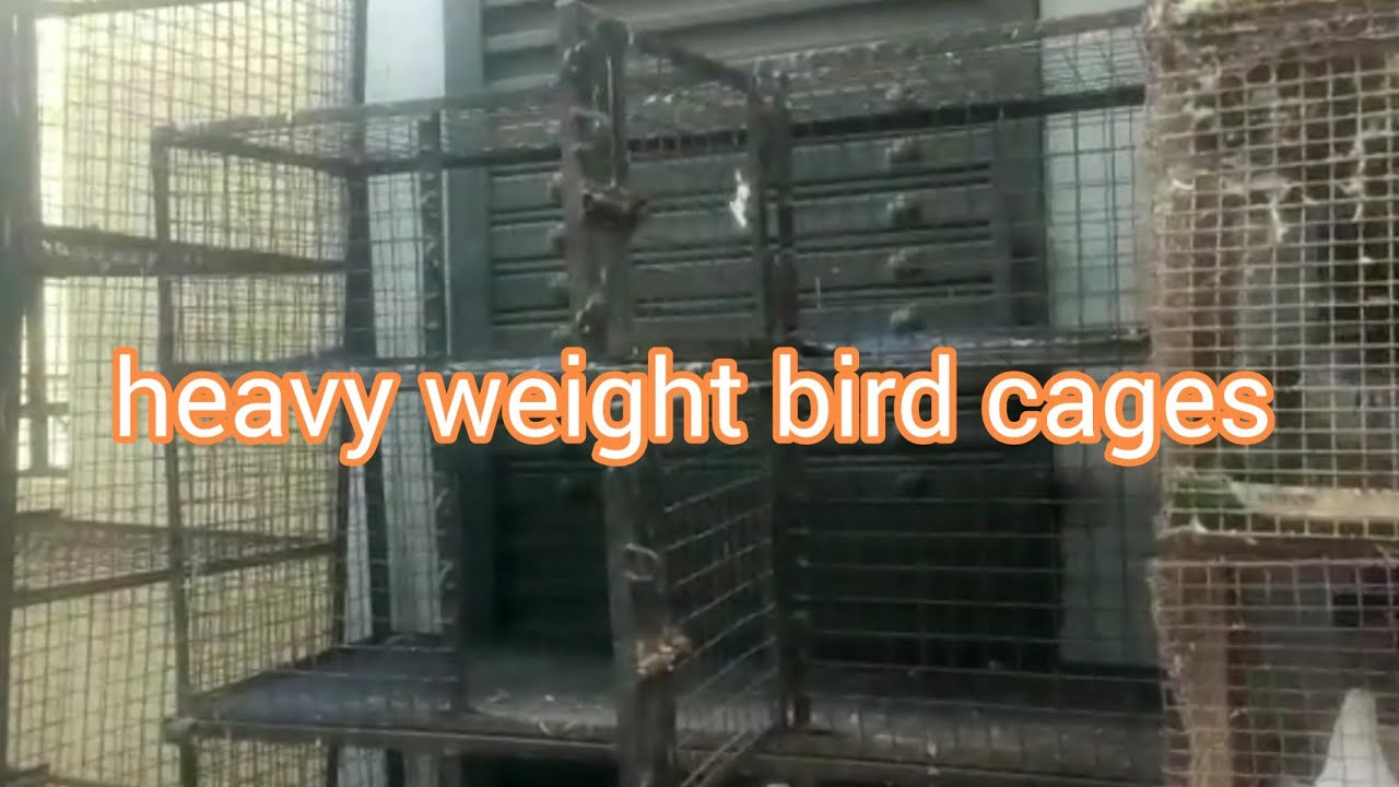 heavy weight cages suitable for birds for sale in hyderabad 7731935732 ...