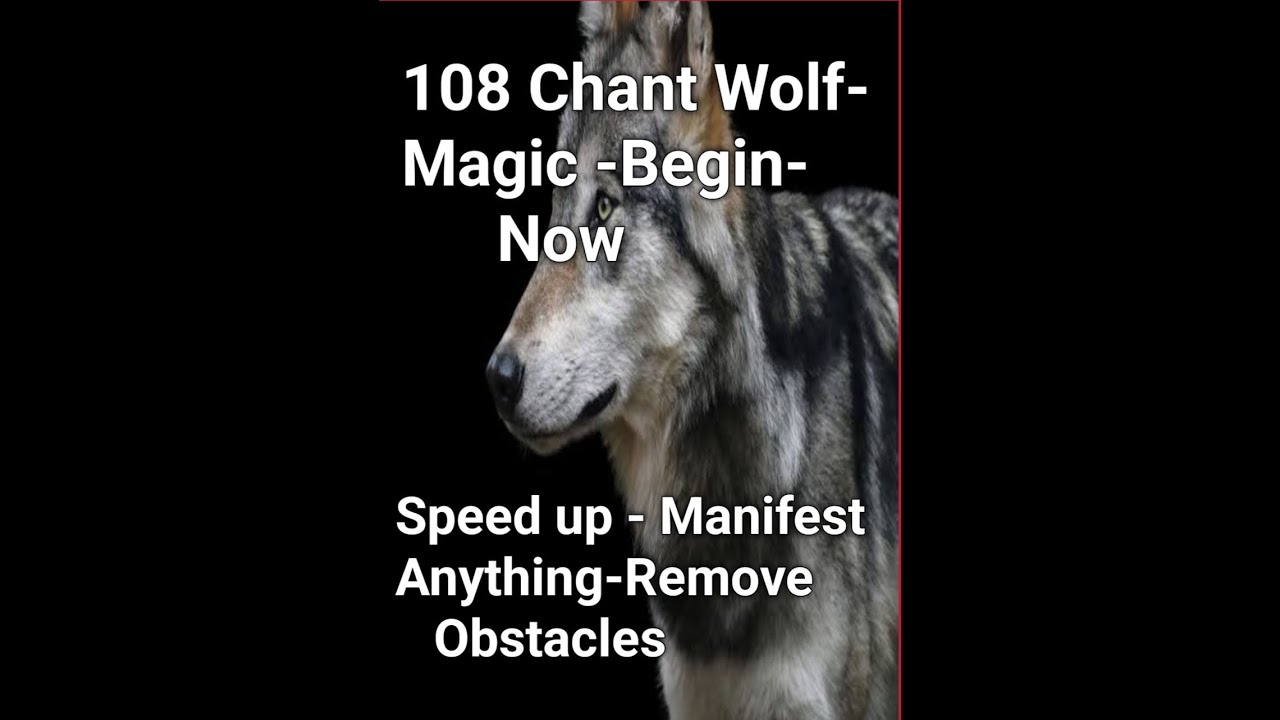 😱Manifest Anything-Remove Obstacles-Attract Magic- Wolf Magic Begin Now ...