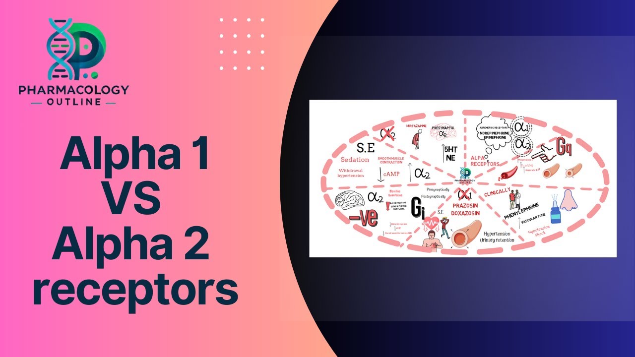 Alpha Receptors Explained: Alpha-1 vs Alpha-2 | Pharmacology Made ...