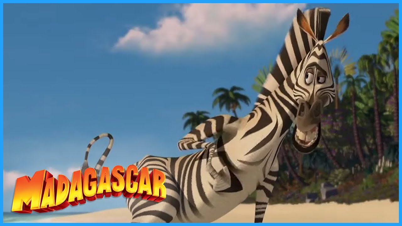 Dreamworks Madagascar The Very Best Of Marty Madagascar Movie Clip Youtube