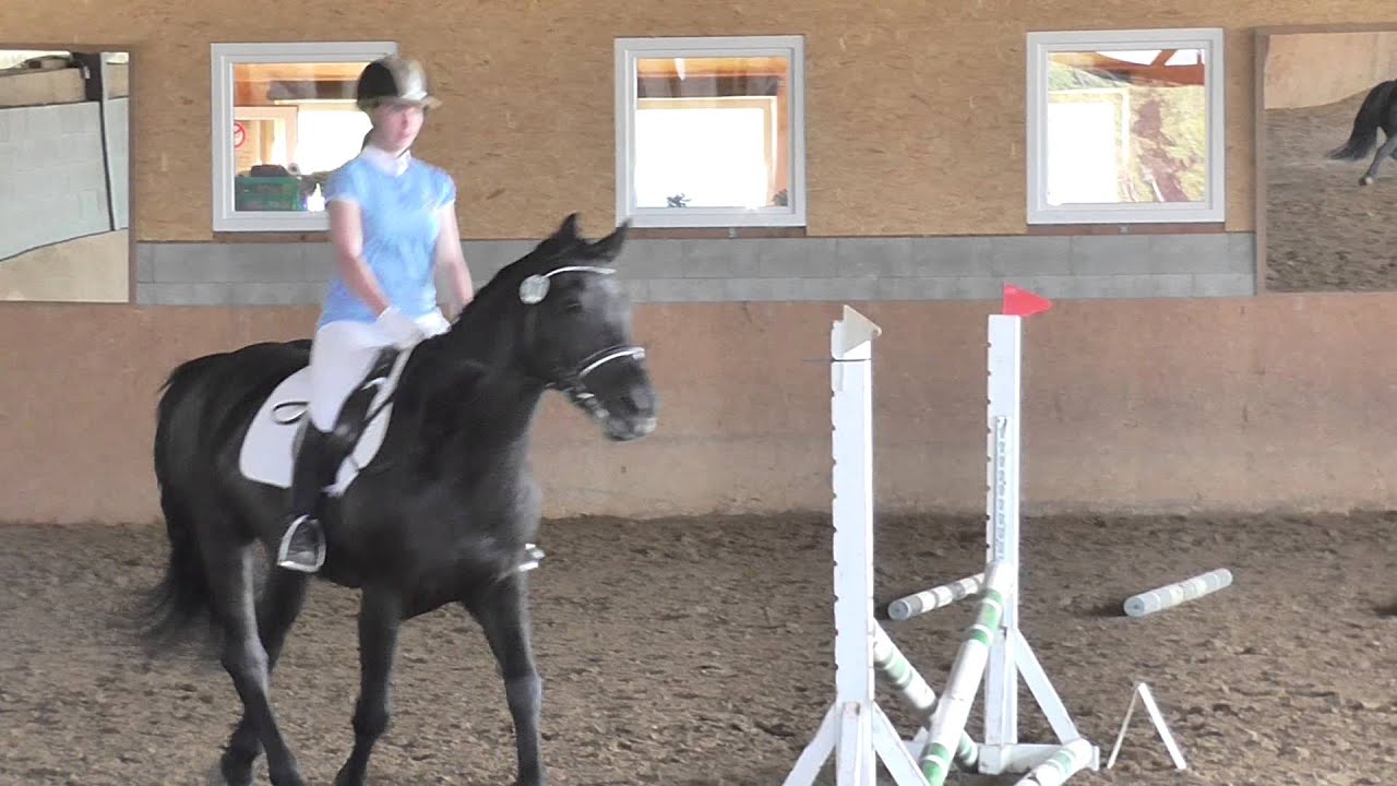 Turnier Brilon [Caprilli Test] - YouTube