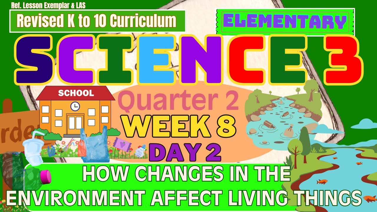Grade 3 Science Q2 W8 D2 | How Changes in the Environment Affect Living ...