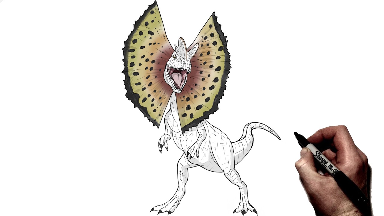 How To Draw Dilophosaurus | Step By Step | Jurassic World - YouTube