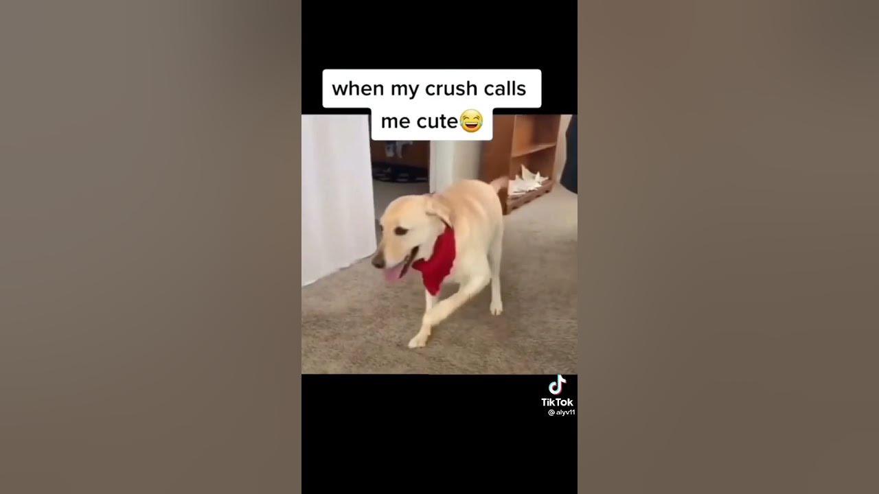 When My Crush Calls Me Cute YouTube when-my-crush-calls-me-cute-youtube