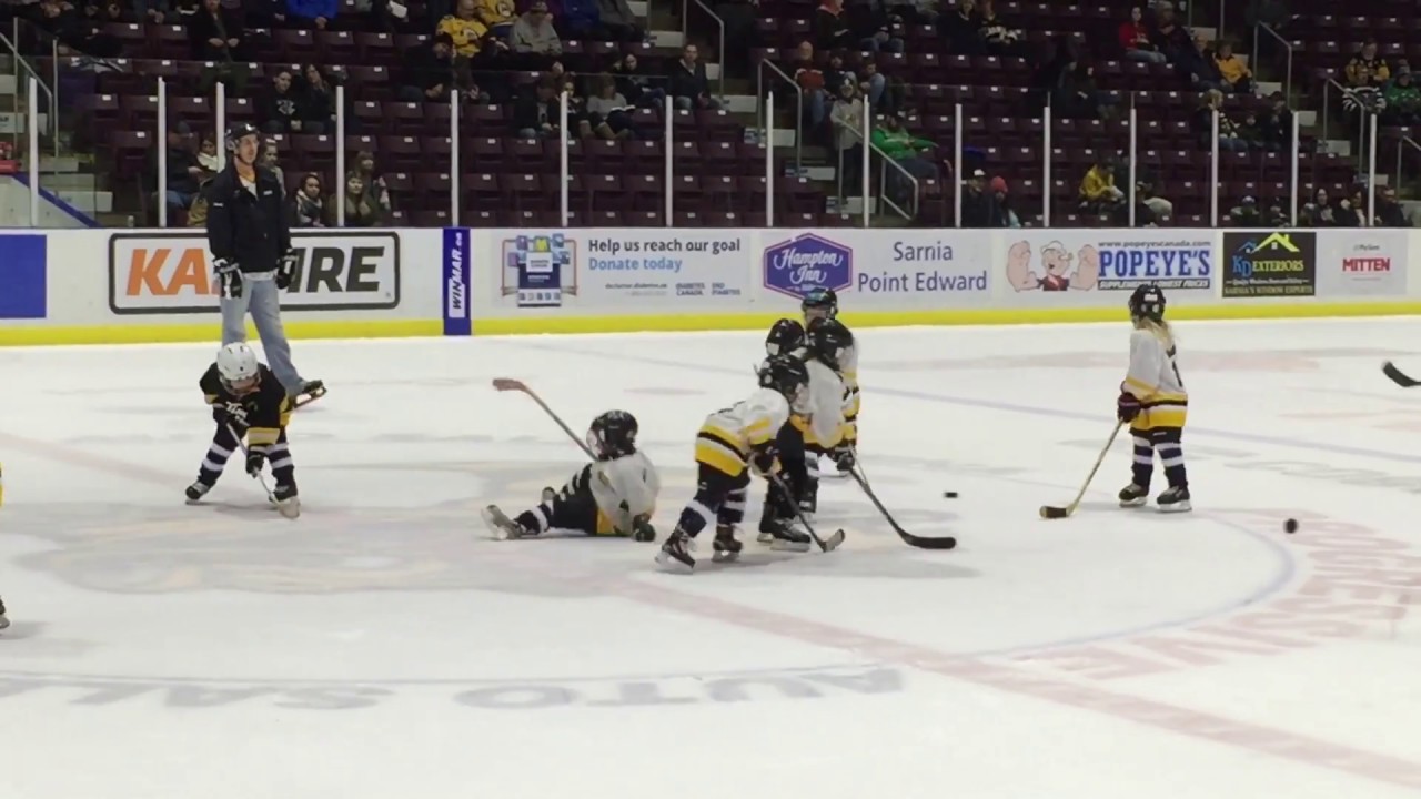 Timbits Hockey - YouTube