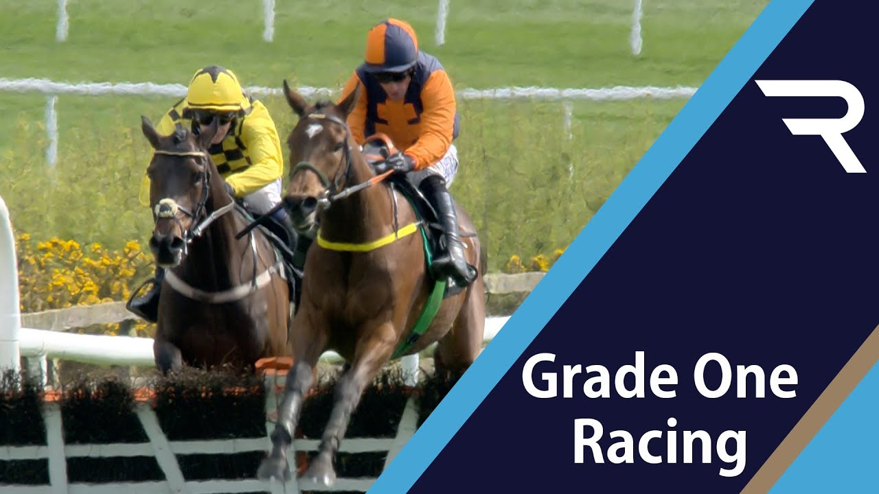 JEFF KIDDER beats Haut En Coleurs in the 2021 Ballymore Champion Four ...