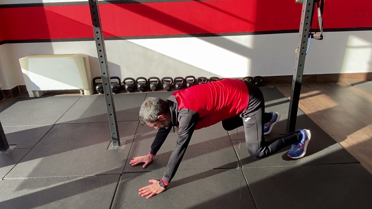 FROG PLANK - YouTube