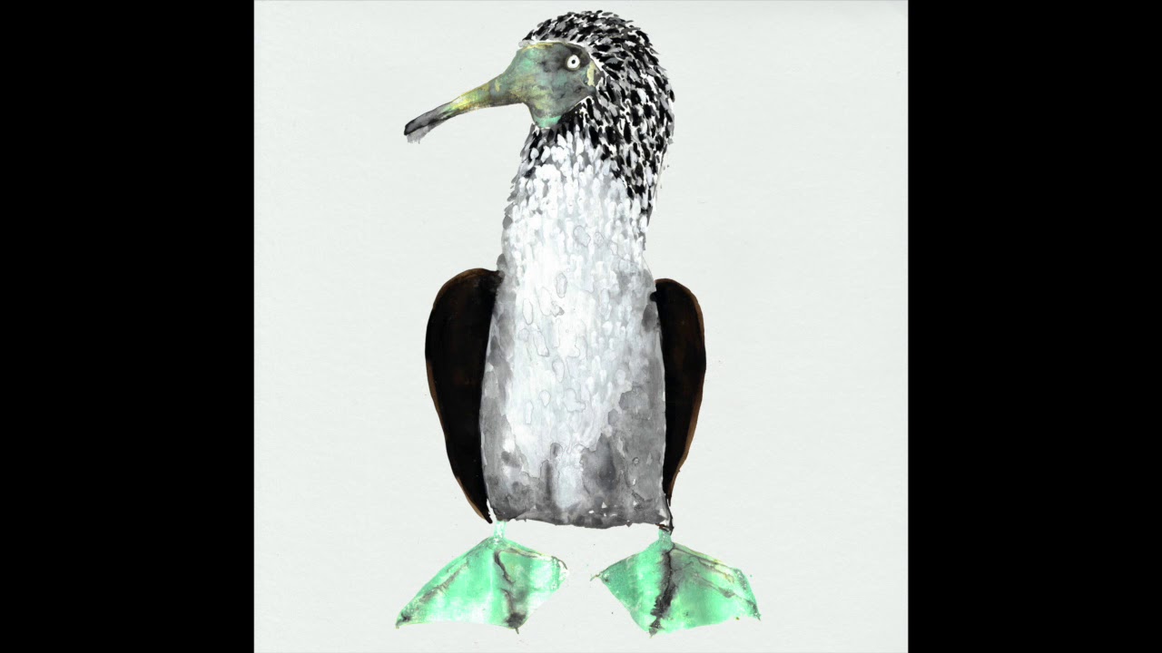 Cosmo Sheldrake - Frigate birds (Galápagos Original Series Soundtrack ...