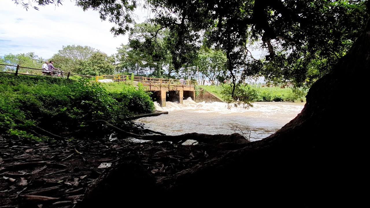 Zoom in Mic video filmed on Samsung Galaxy Note 10 plus - YouTube