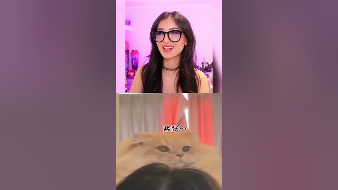 Sssniperwolf Clip 345 Wholesome Tiktoks That Will Make Your Day