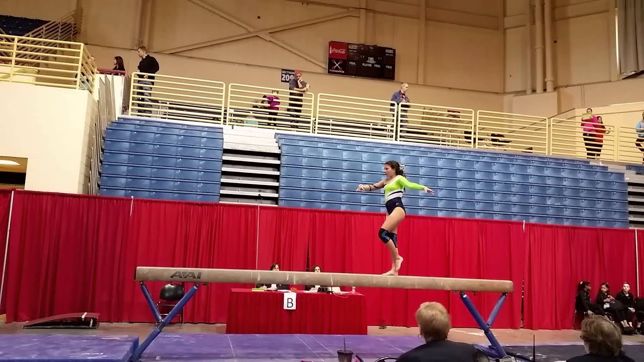 Taylor Beam GA USA Level 8 State 2015 - YouTube