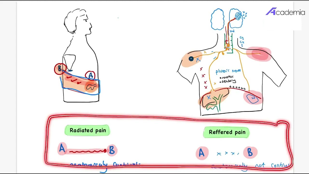 biliary pain - YouTube