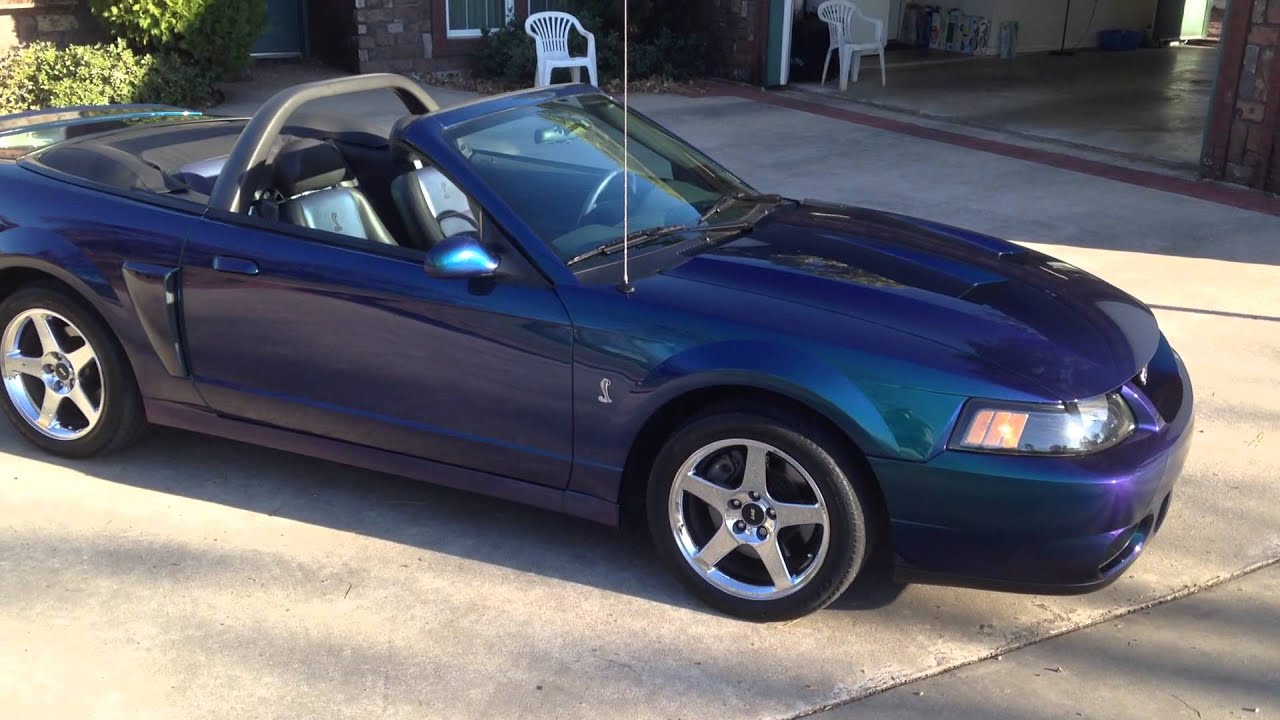 2004 Mystichrome Terminator Cobra walk-around. - YouTube