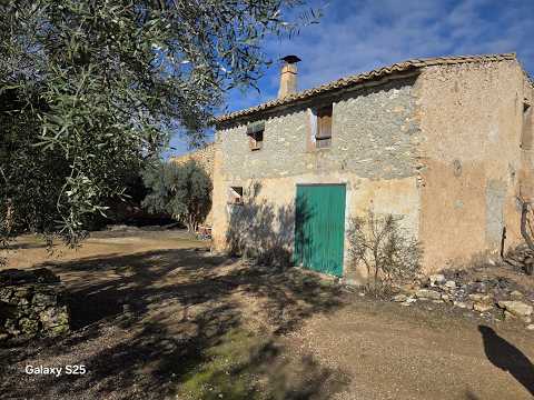 WhatsApp Video 2026 02 04 at 14 40 21