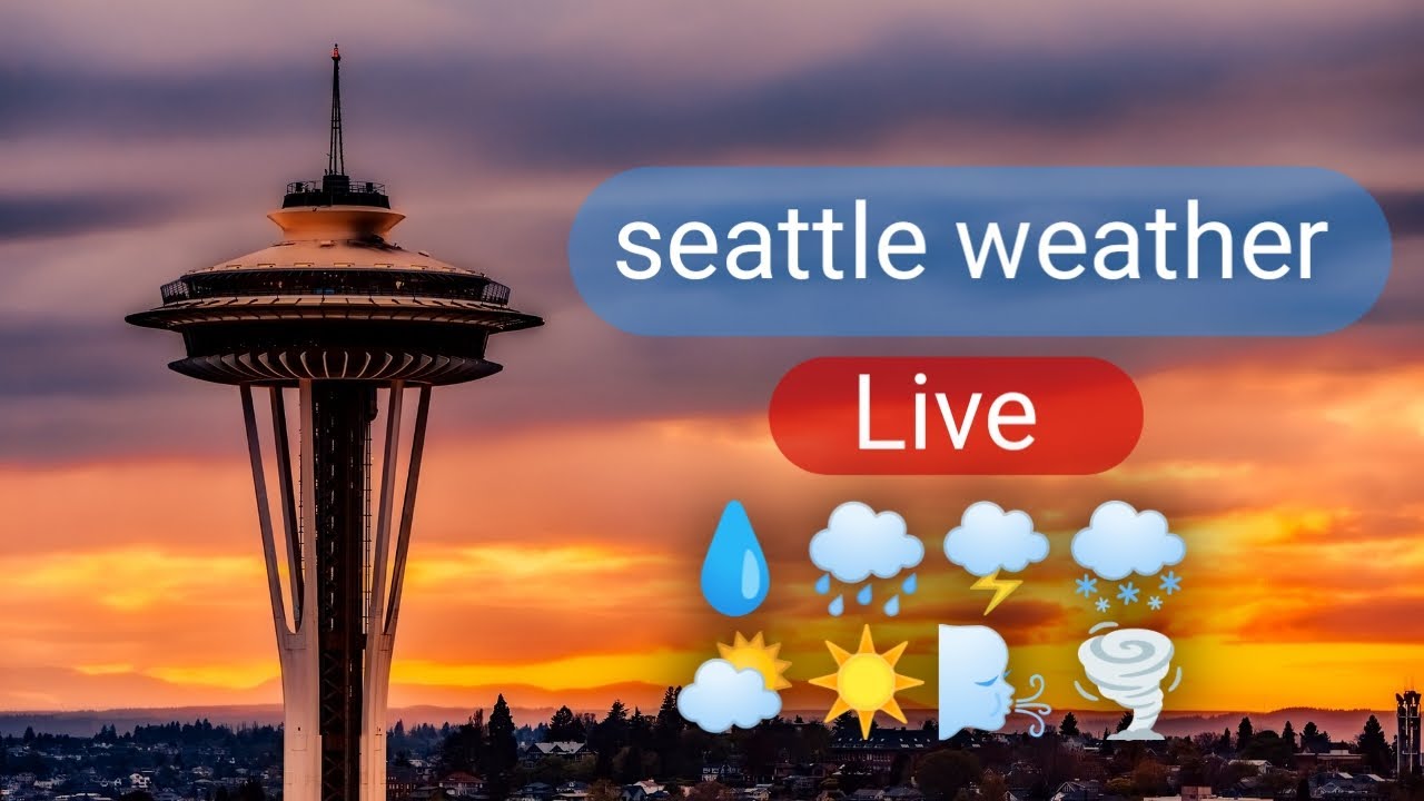seattle weather - live - forecast - YouTube