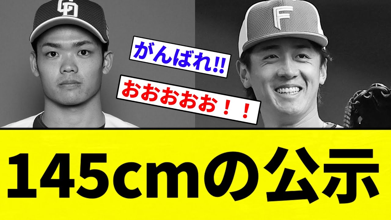 【公示】145cmの公示【プロ野球反応集】【2chスレ】【なんG】 - YouTube
