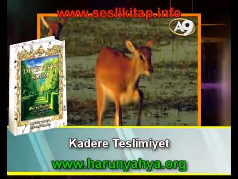 Kadere Teslimiyet