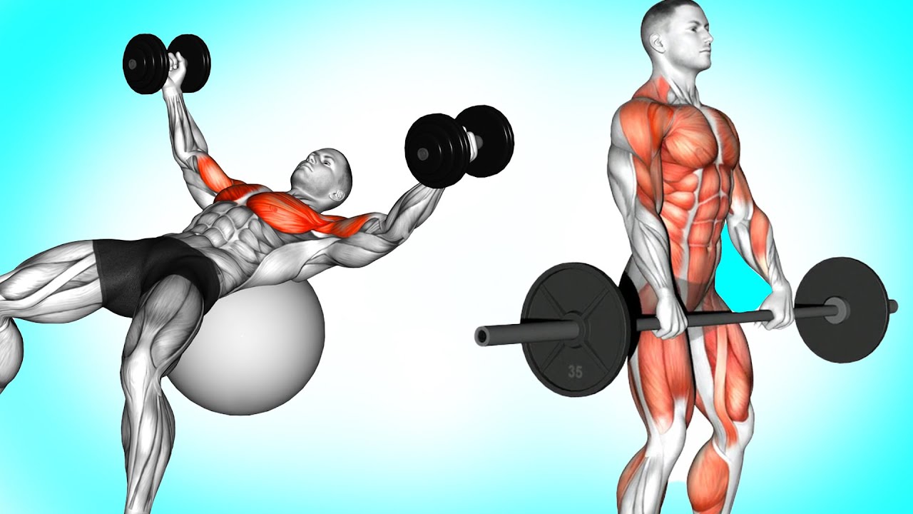 Build Abs And Chest Muscles Fast - YouTube