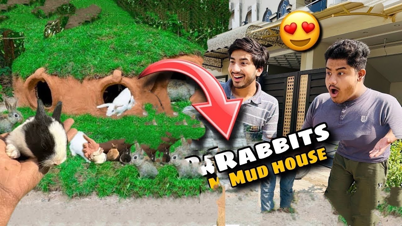 Rabbits Ka Mud House🏠 Ban Raha Ha🥰|| - YouTube
