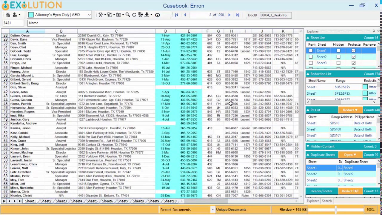 PII Identification and mass-redaction in Exolution - Native Excel File Redaction Software - YouTube