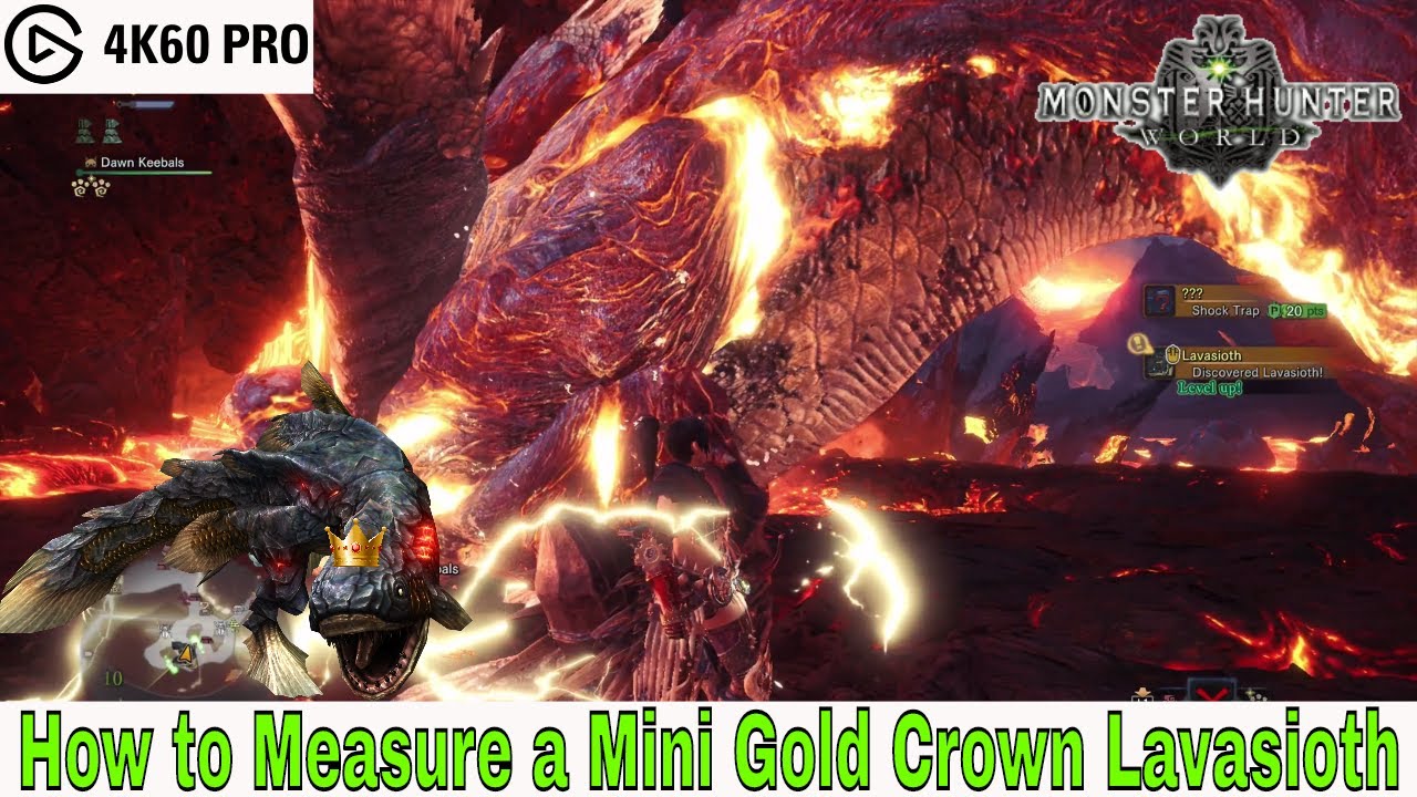 Monster Hunter: World - How to Measure a Mini Gold Crown Lavasioth ...