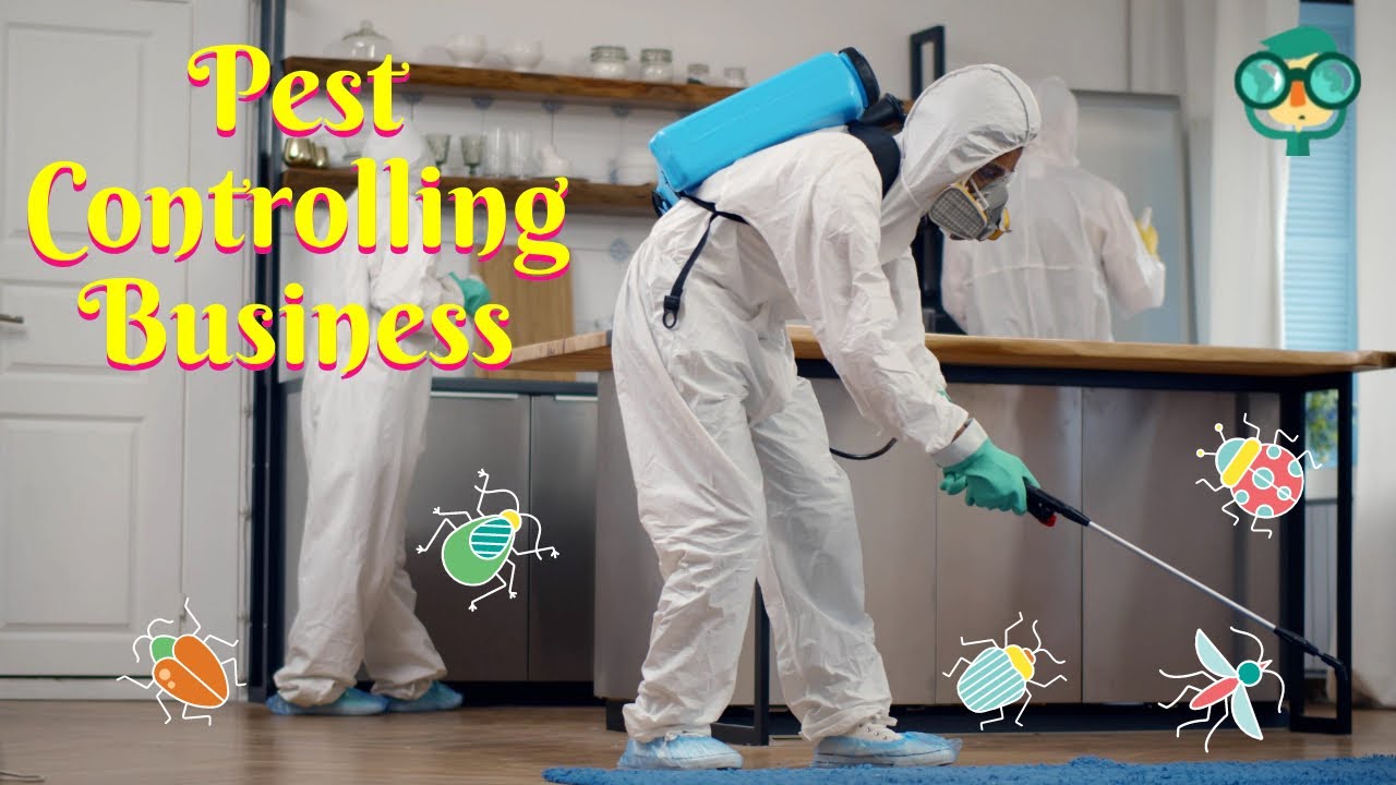 How to Start a Pest Control Business? How to Start a Pest Control ...