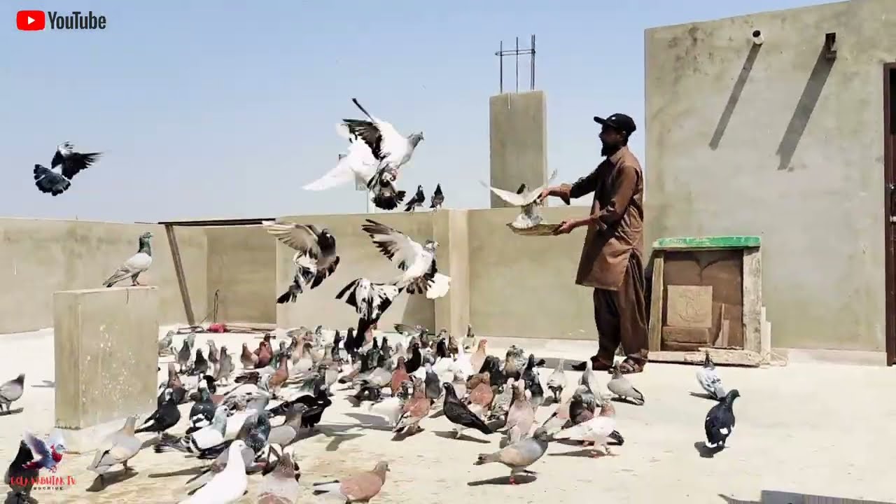 1 Ghante Ki Khullat | Adil King Alhamdulillah Challenge Complete.. 💯 ...