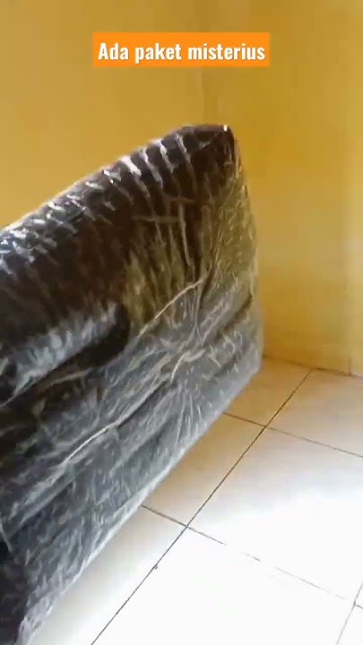 paket misterius #comedy #shorts #youtubeshorts #vlog - YouTube