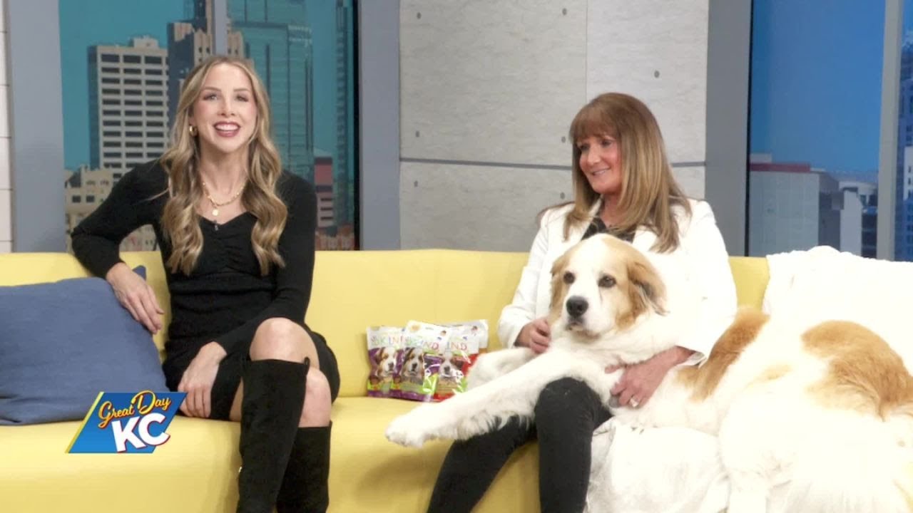 Carrie Interviews CEO of Paws And Pals, A Non-Profit Benefiting Animal ...