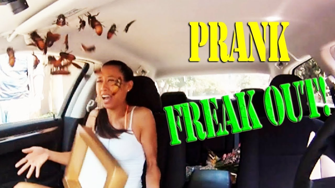 ROACH PRANK HISSING NOT KISSING! - YouTube
