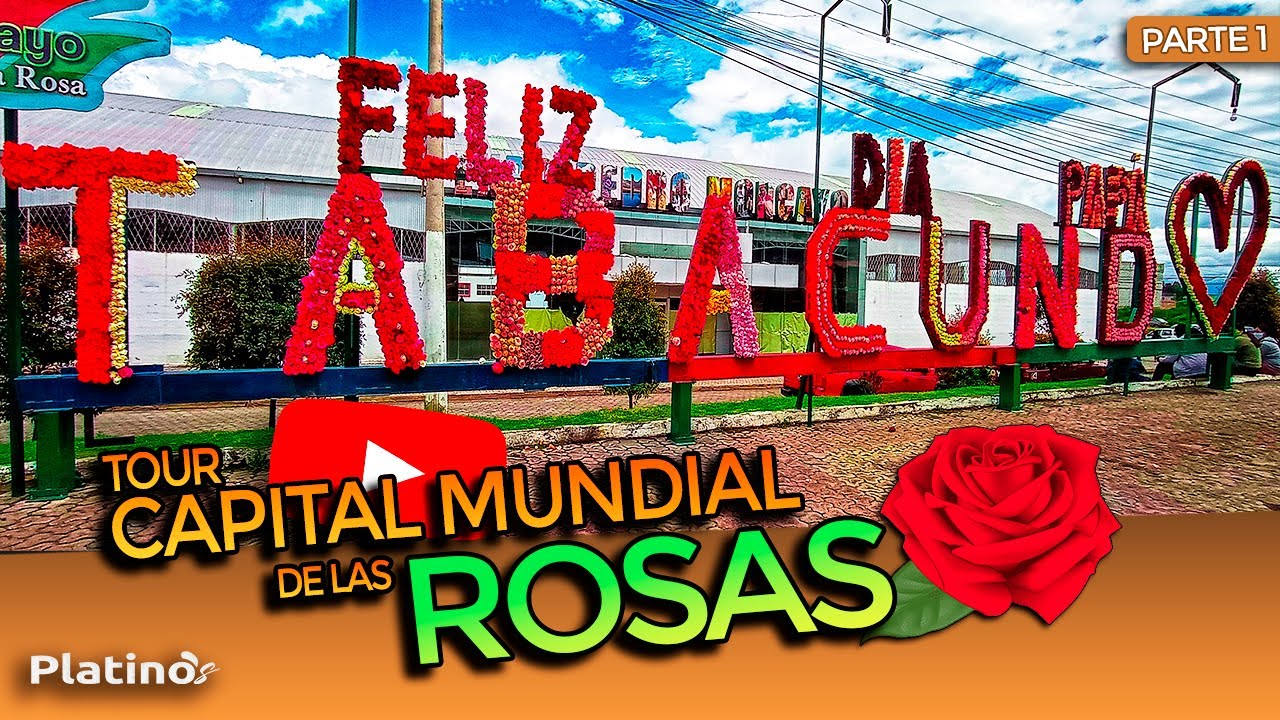 Visitando la CAPITAL MUNDIAL DE LAS ROSAS 🌸 | Turismo Tabacundo Ecuador ...