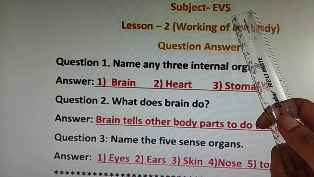 EVS Lesson 2 Questions Answers Revision class2nd YouTube evs-lesson-2-questions-answers-revision-class2nd-youtube