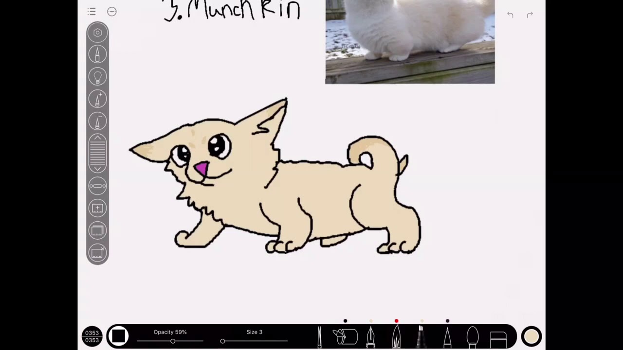 Drawing cat breeds #3 Munchkins - YouTube