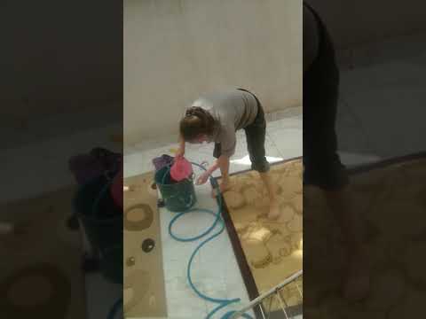 halı yıkama