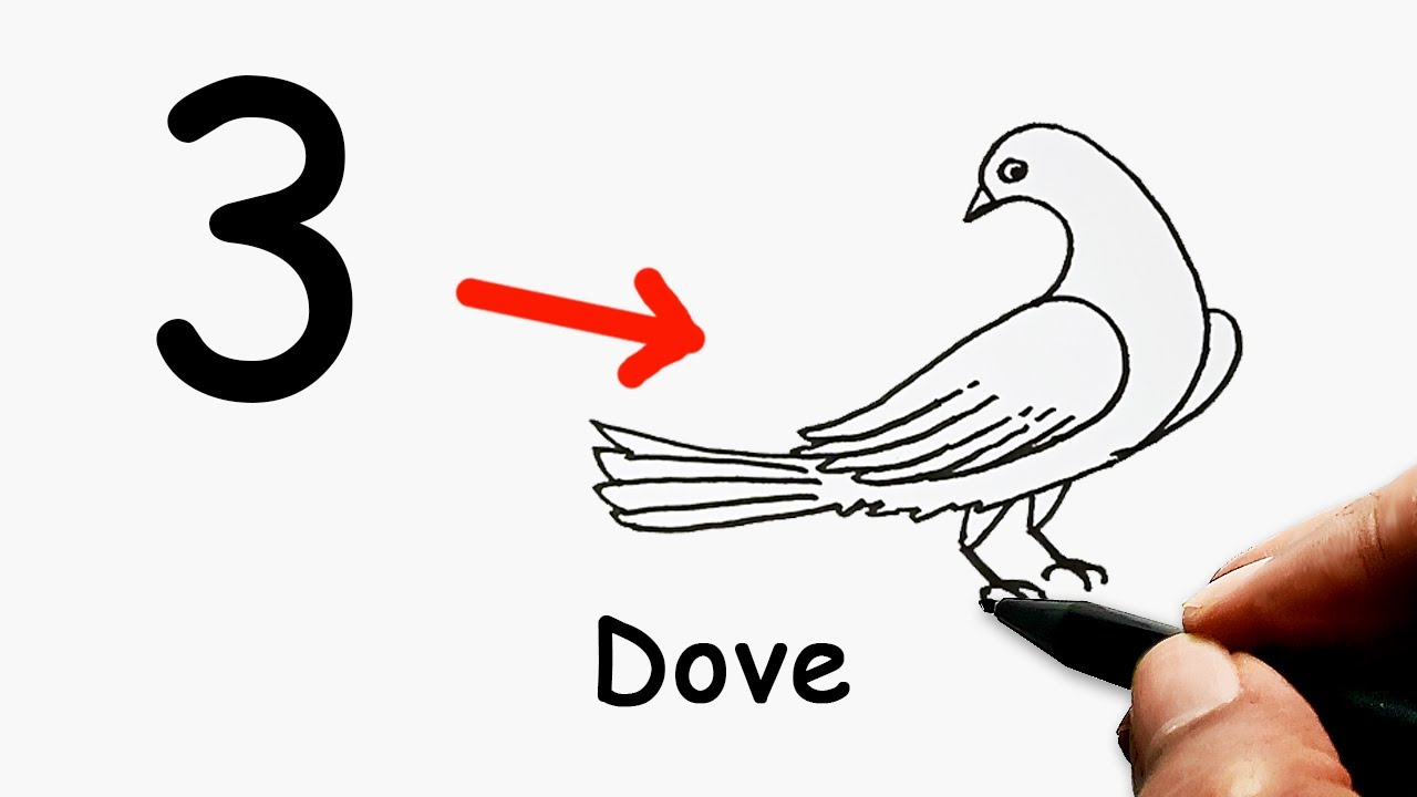 Beautiful Dove Drawing from Number 3 | How to Draw a Dove Step by Step ...