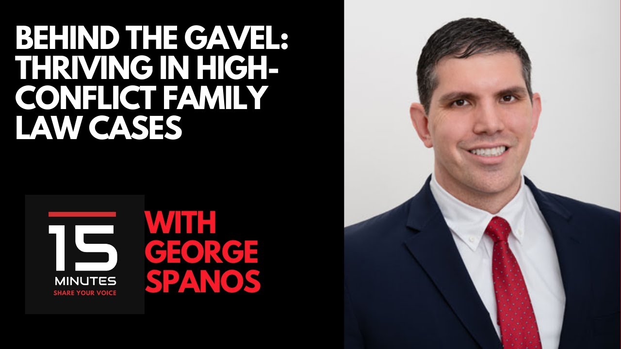 Behind the Gavel: Thriving in High-Conflict Family Law Cases With ...