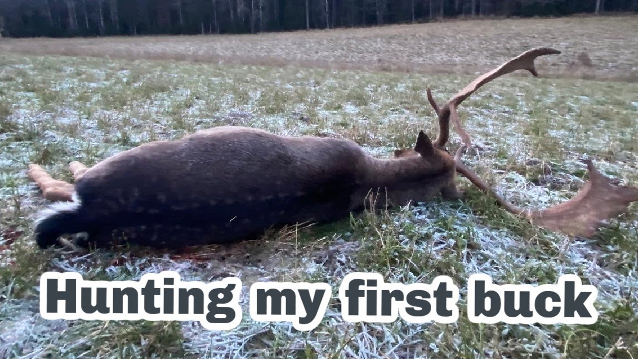 Hunting my first buck - YouTube