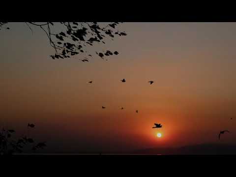 SUNRISE  video for WhatsApp status || #D.k.PHOTOGRAPHY