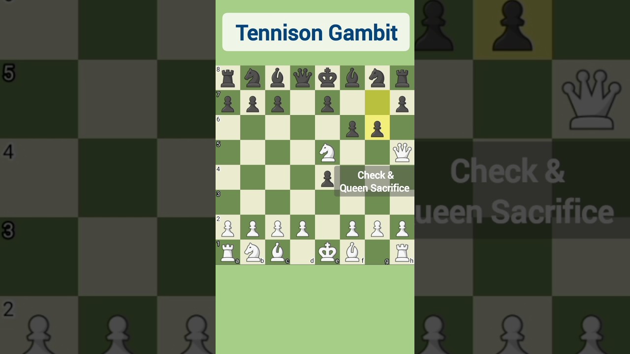 Tennison Gambit | How to get better at chess - YouTube