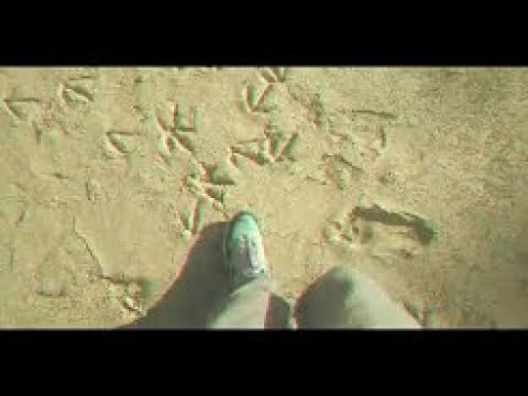Frostix - Overbearing Heat (music video) - YouTube