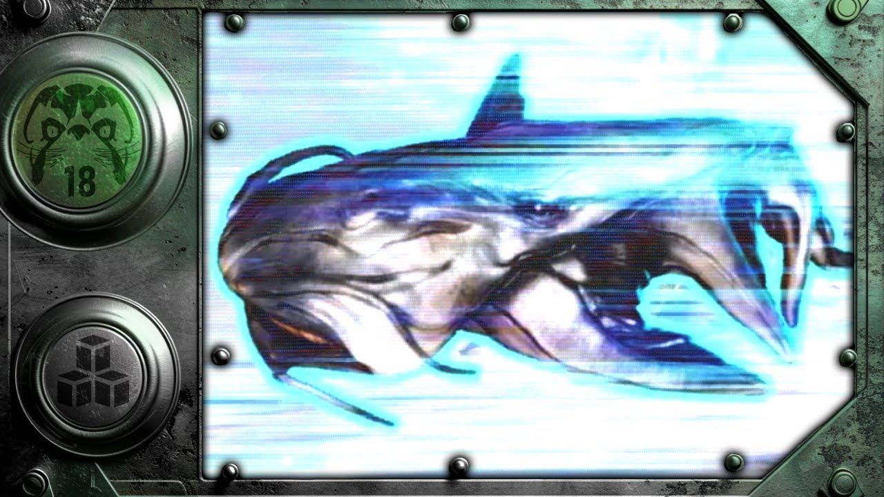 [Archived] Murkray, an amphibious (undeground) fish - YouTube