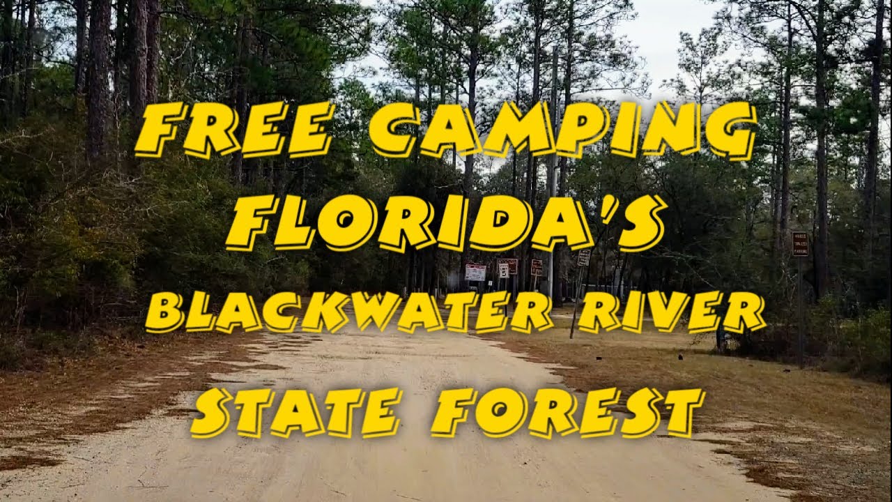 Free Camping Florida's Blackwater River State Forest! - YouTube