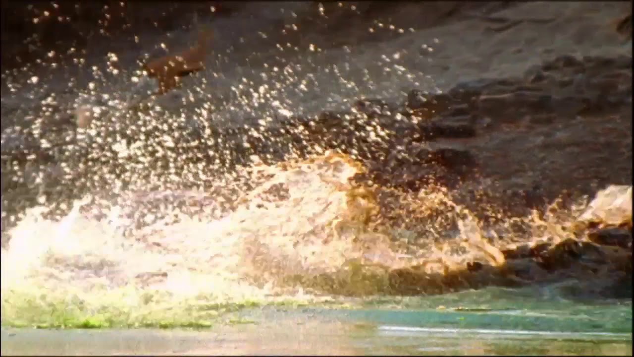 Gorillaz Do Ya Thing Official Video - YouTube