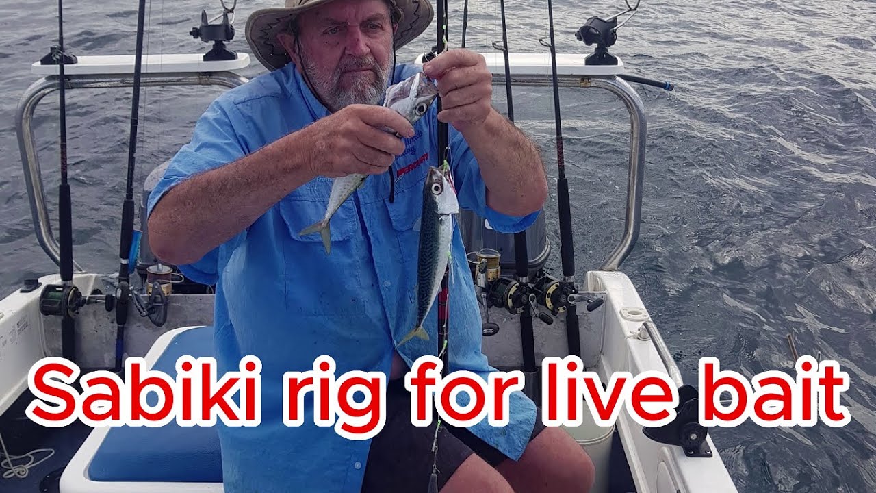 Sabiki rig for live bait - YouTube