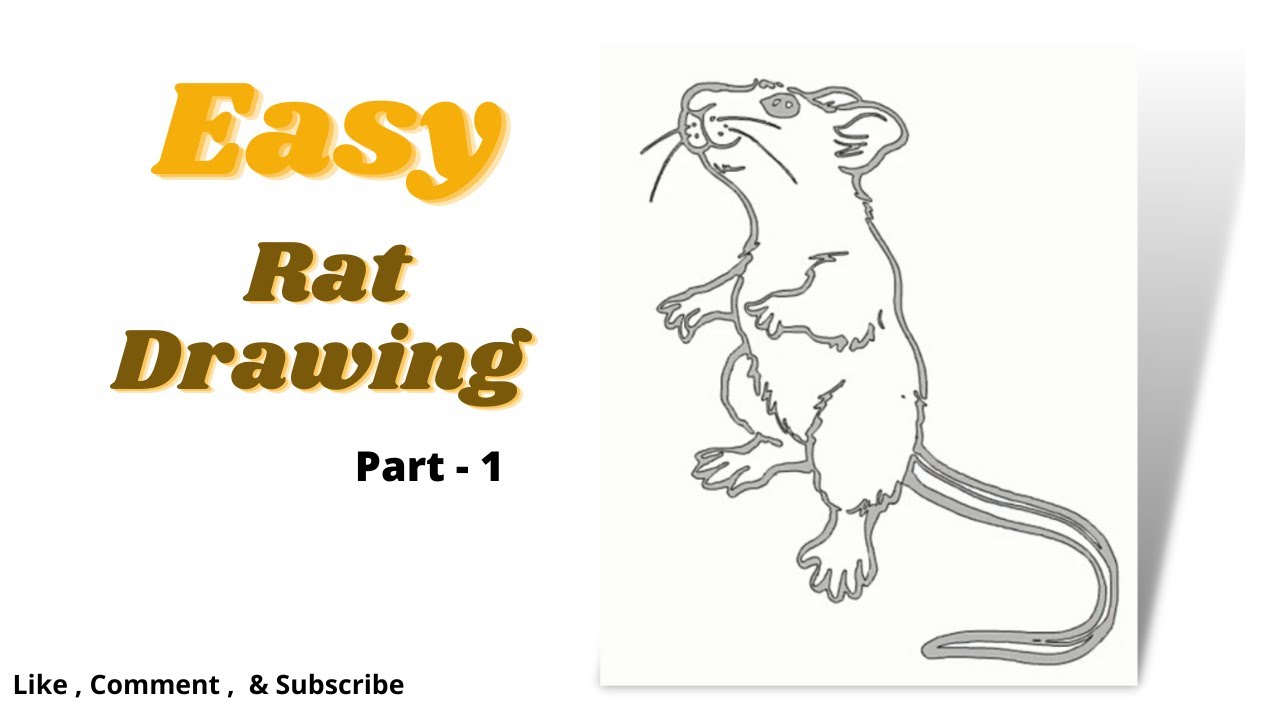Rat Drawing | How to draw a Rat step by step | Mouse Drawing | Easy Rat ...