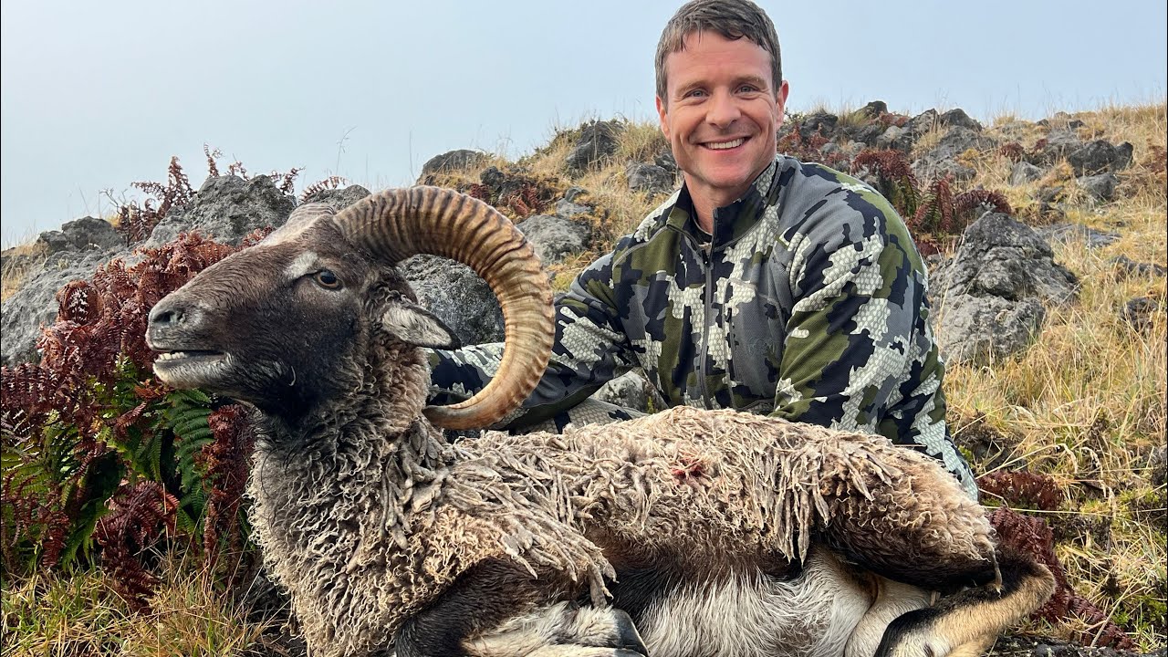 Mouflon Sheep Hunting in Hawaii - YouTube