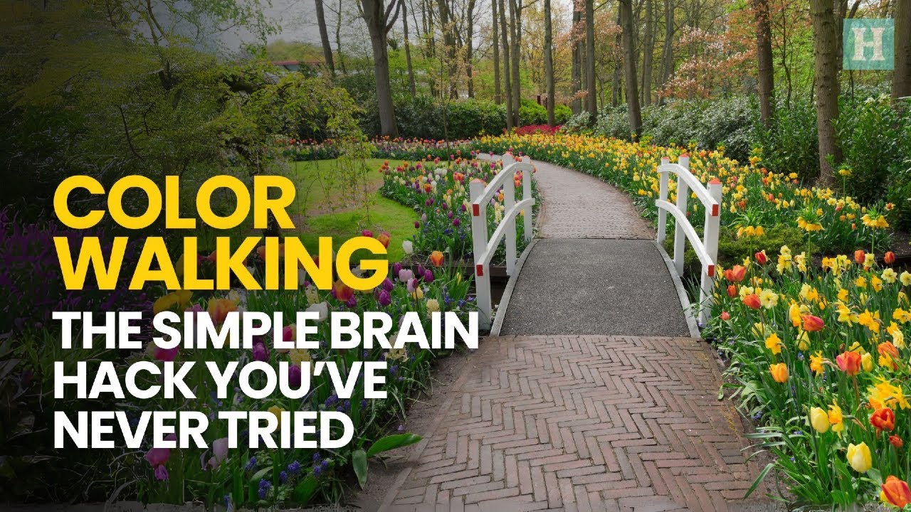 Color Walk Therapy: How Walking with Colors Can Boost Your Mood and ...